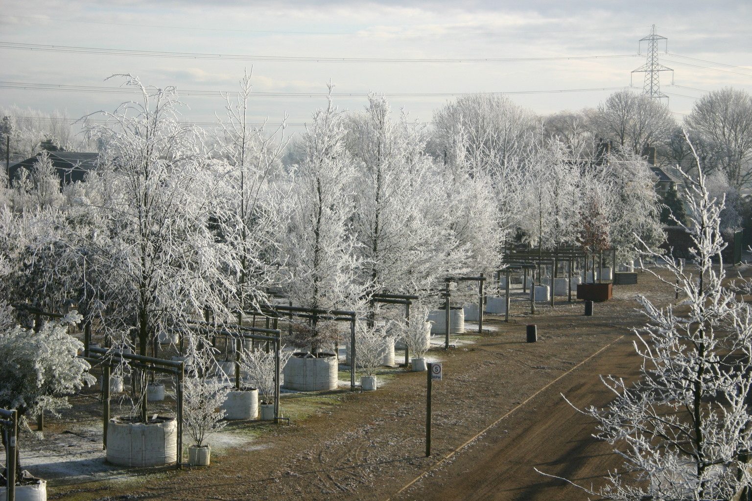 Planting in cold conditions - Barcham Pro