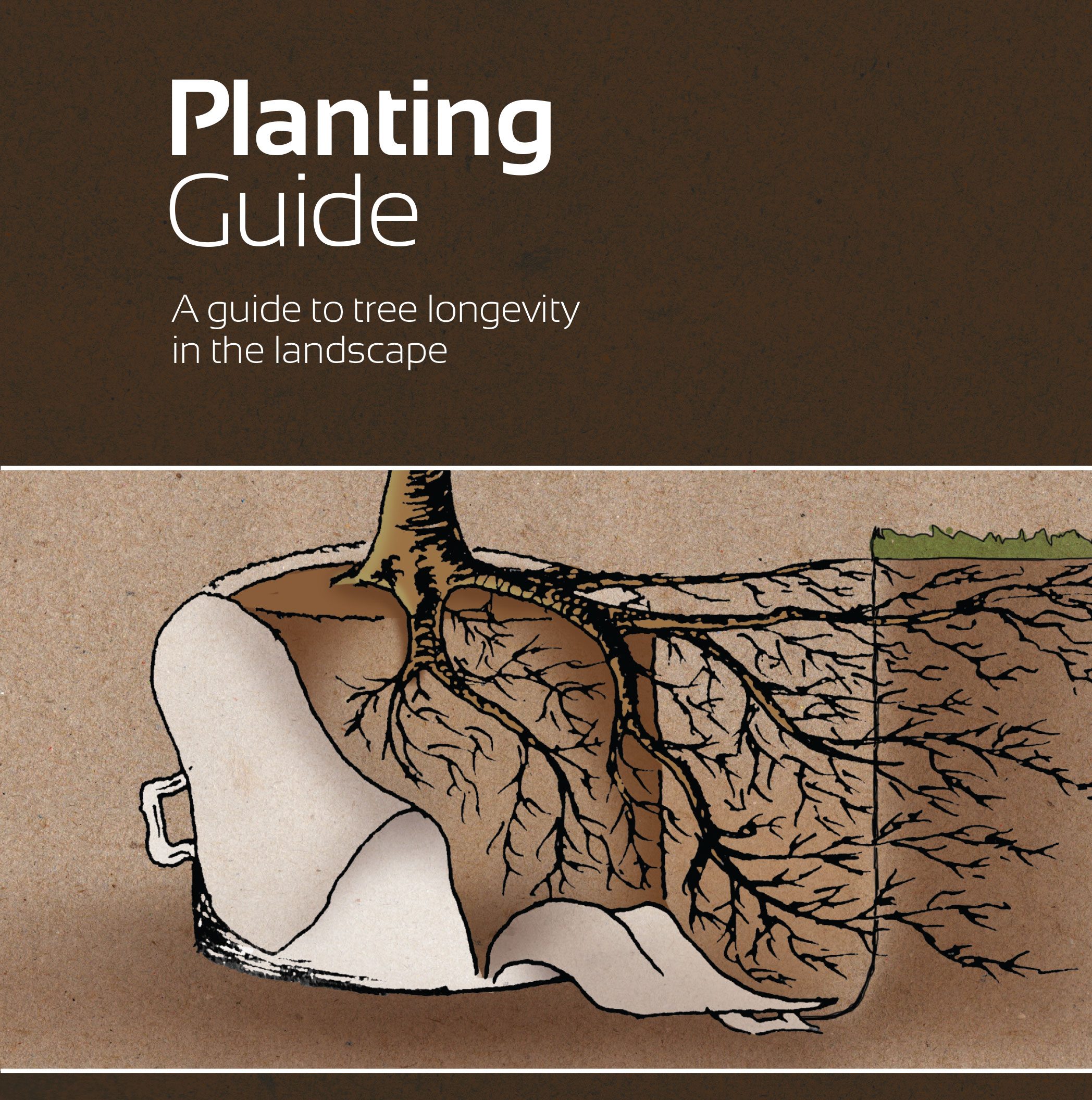 Planting Guide - Barcham Pro